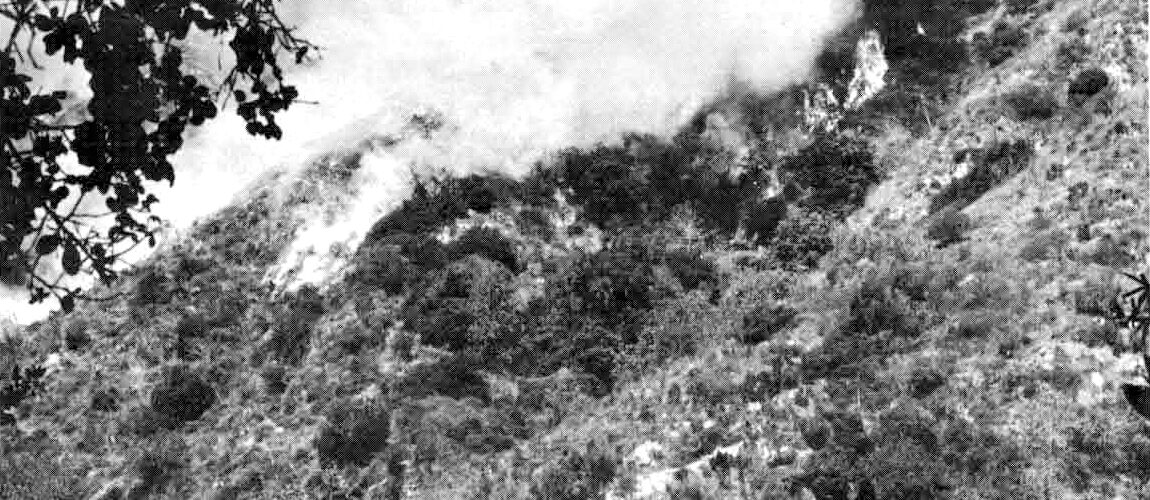 Index of /wp-content/uploads/2023/02/